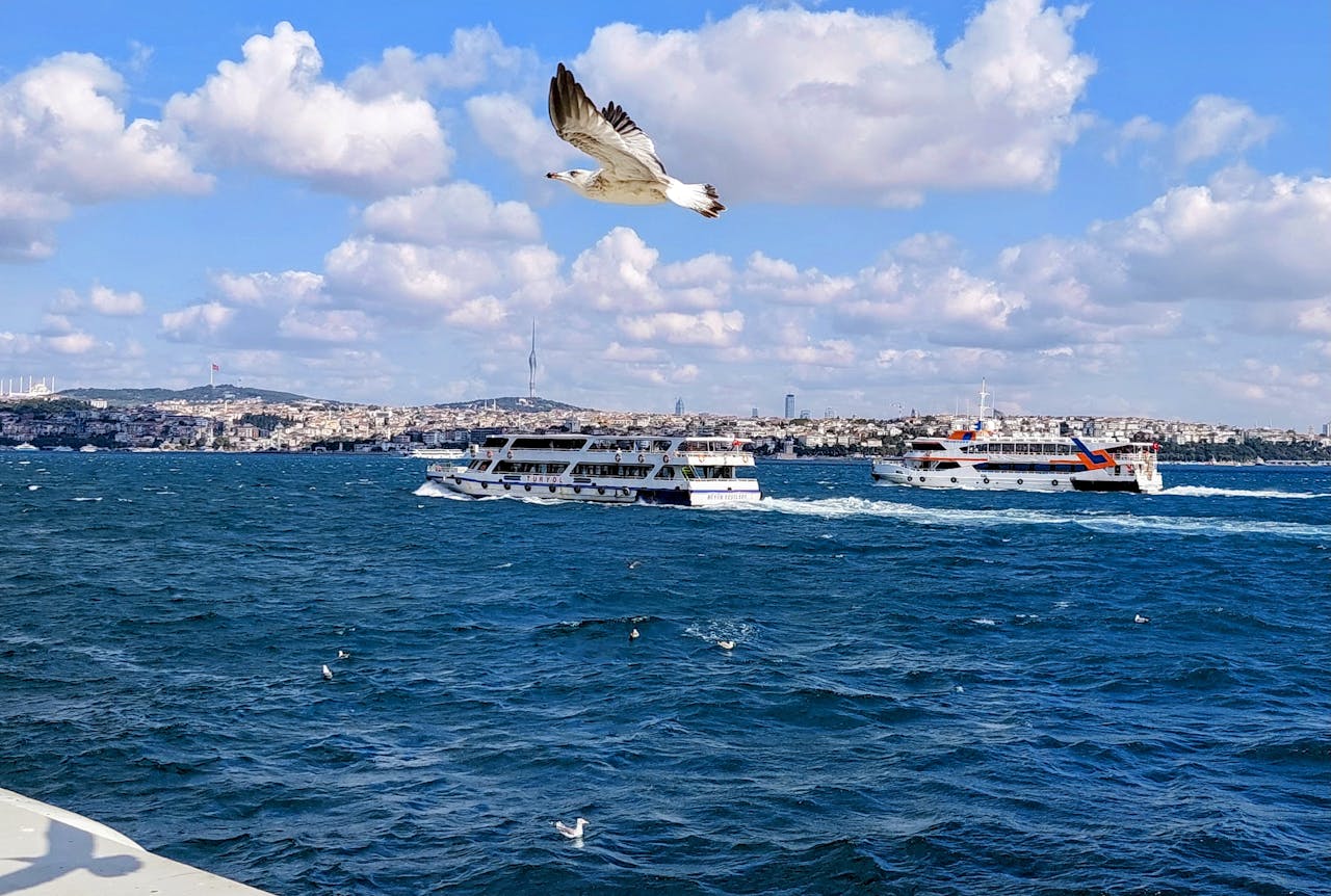 Discover Istanbul Month by Month: Your 2025 Guide to Local Tips ...